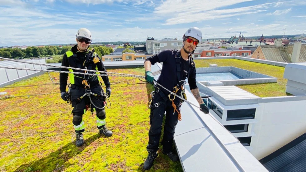 Hur sjutton vågar dom? | Bibbis blandning